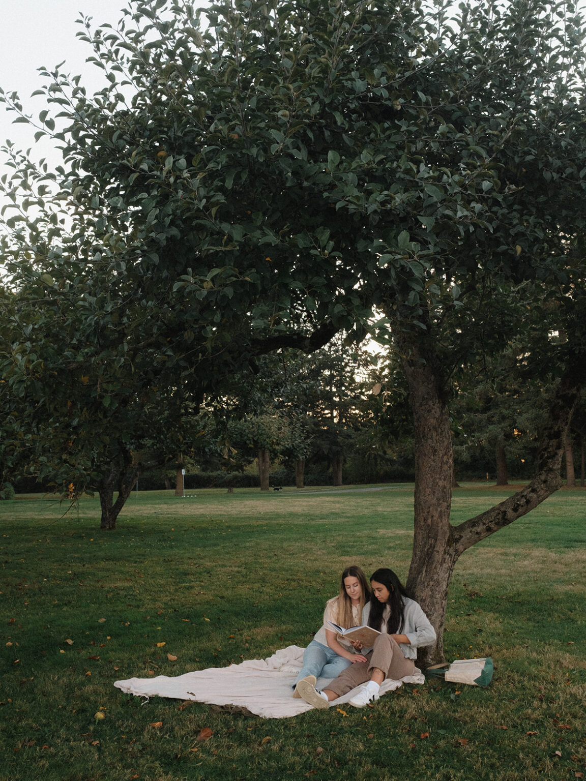 Planning a Mutual Proposal, Together - PNW Engagement Session