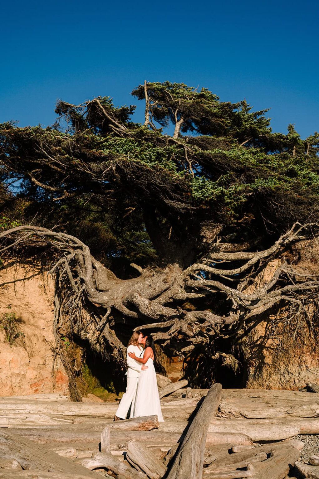A Forest-to-Beach Elopement in Olympic National Park