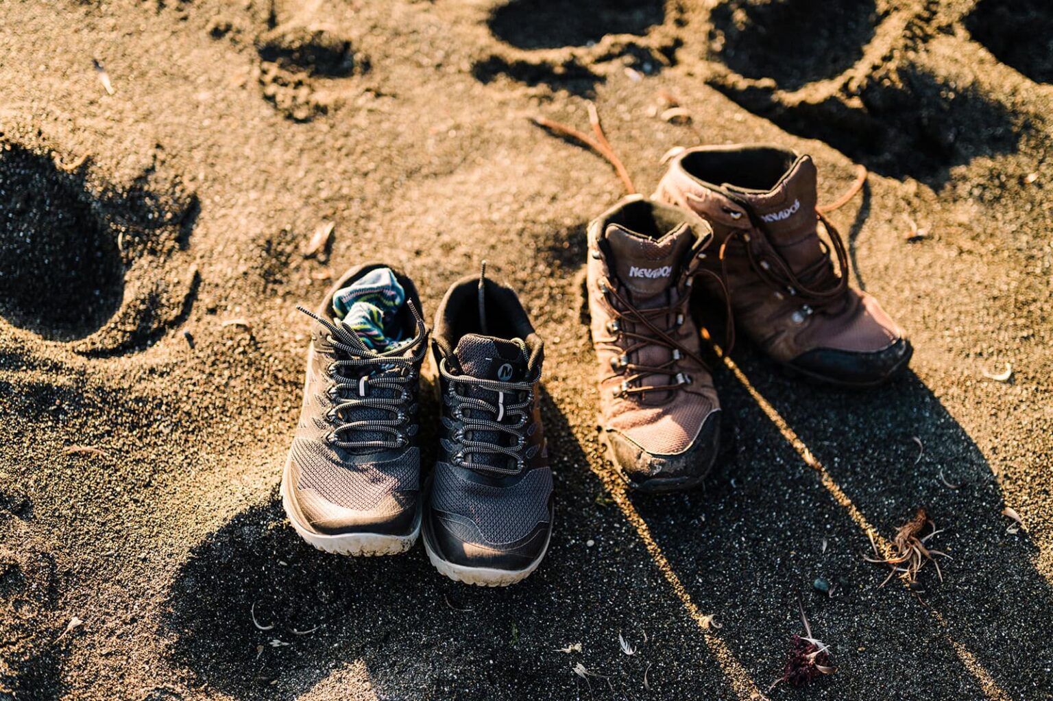 A Forest-to-Beach Elopement in Olympic National Park