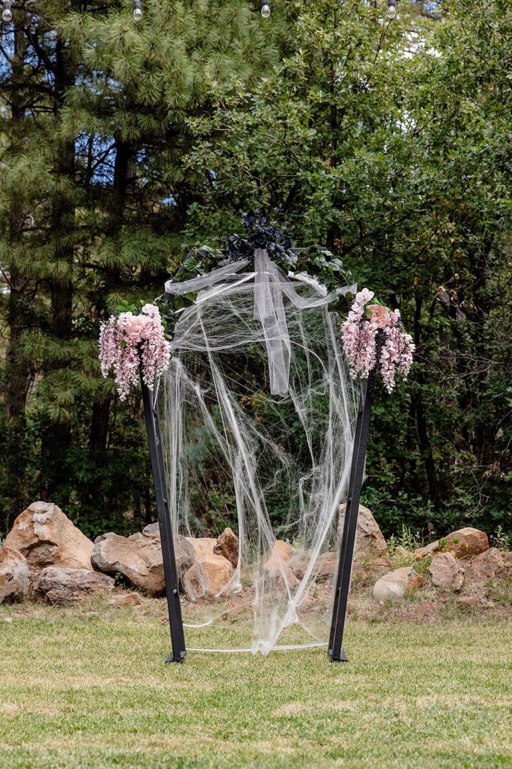 Arizona Goth Wedding with Donuts, Tattoos, and Veil Drama